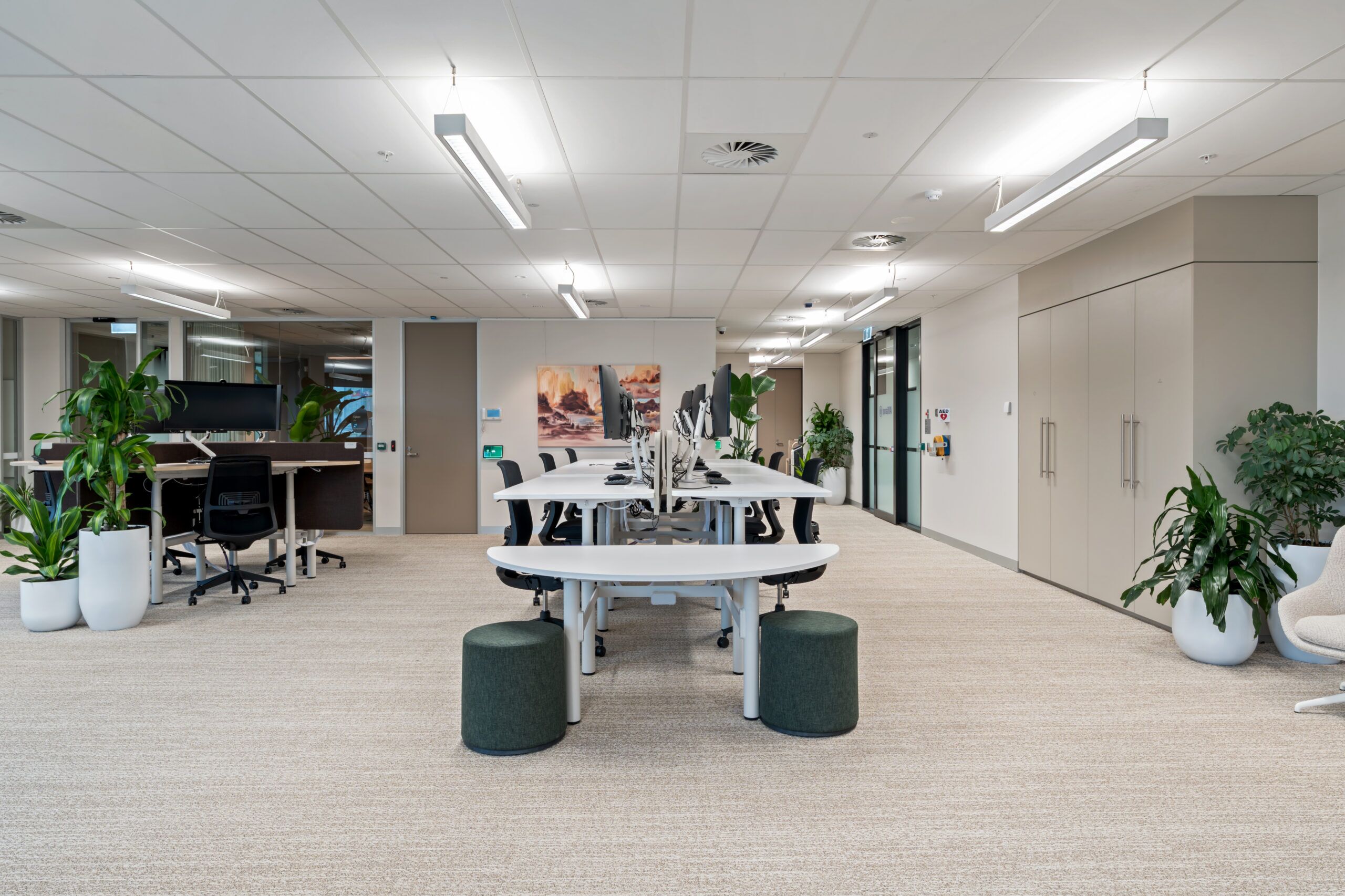 Telstra Sydney Fitout, 400 George Street - SHAPE